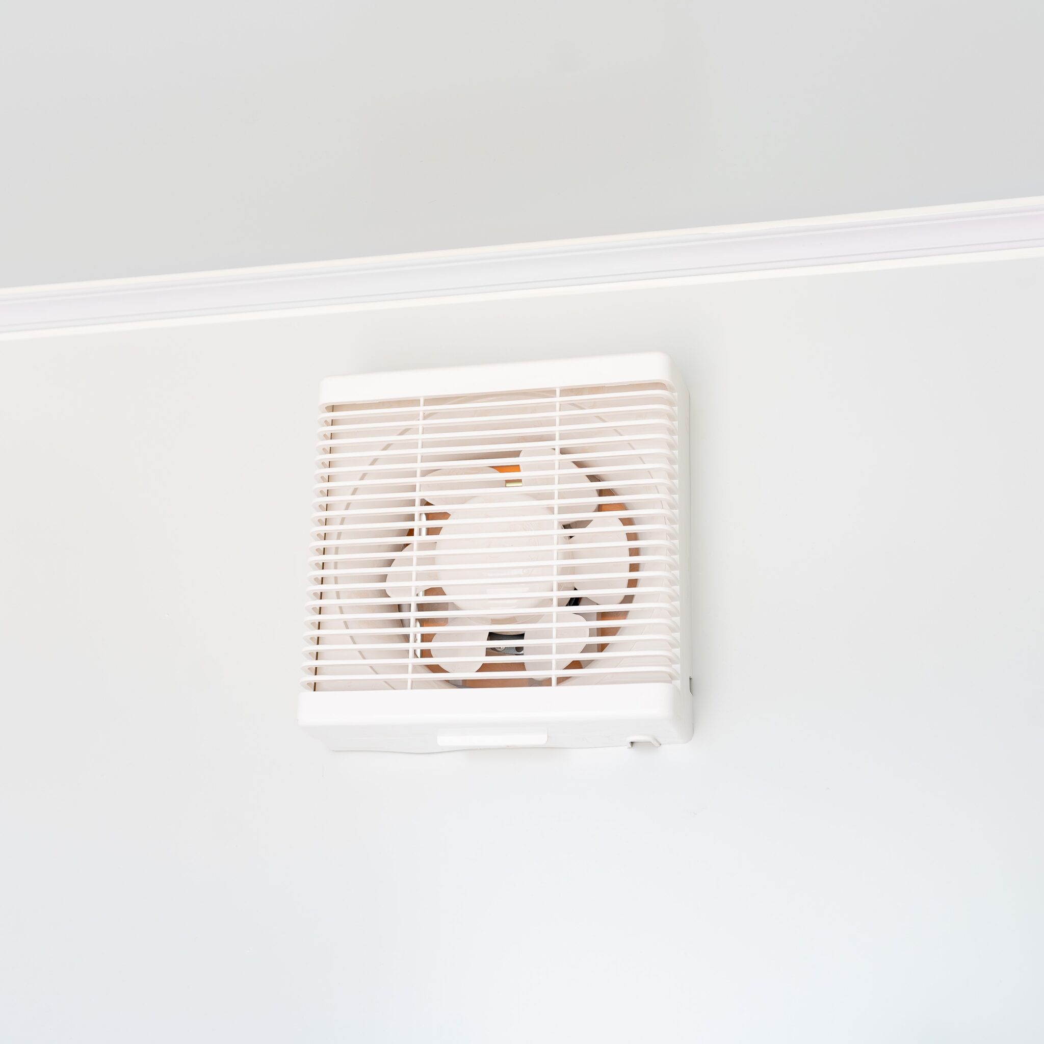 Portable Single Toilet - Container Domes & Shelters